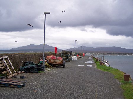 Narrations like this, however uncertain, deserve the notice of ...